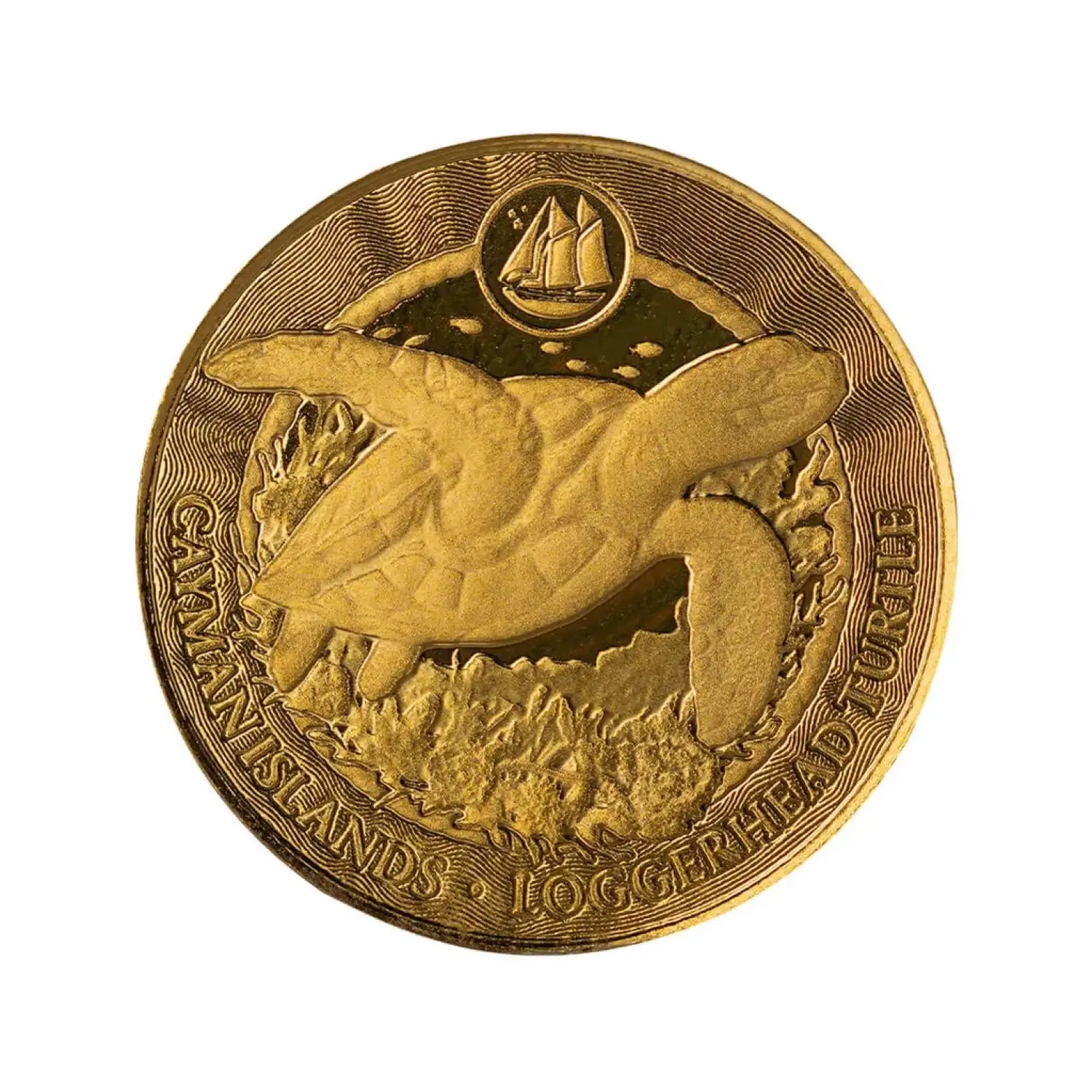 2025 1/10 oz Loggerhead Turtle - Cayman Islands Gold Coin - Tennessee ...